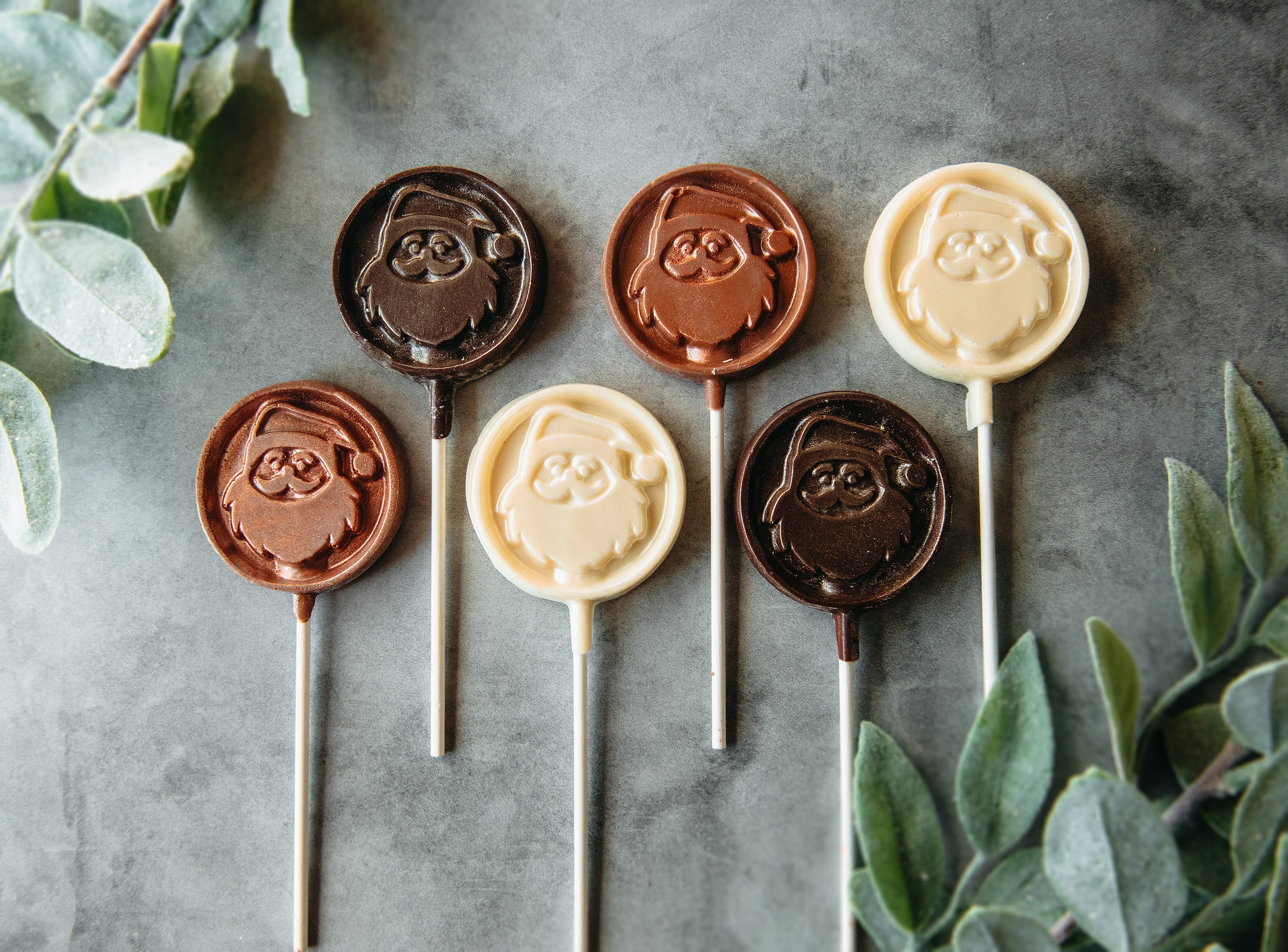Santa Medallion Lolli (set of 2) – The Chocolate Season